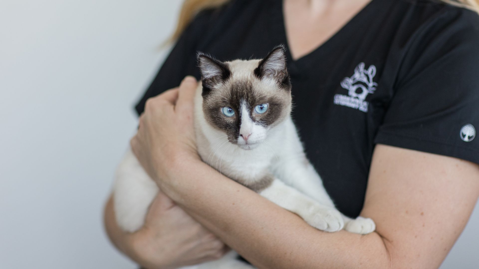 New Client Form | Commonwealth Veterinary Clinic